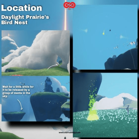 Collecting Lights (Season of Enchantment) – Eternal Skyy